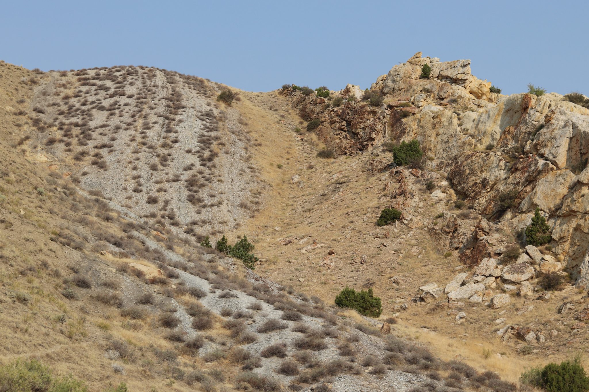 Dusty Old Bones… - Your source for eclectic rambling